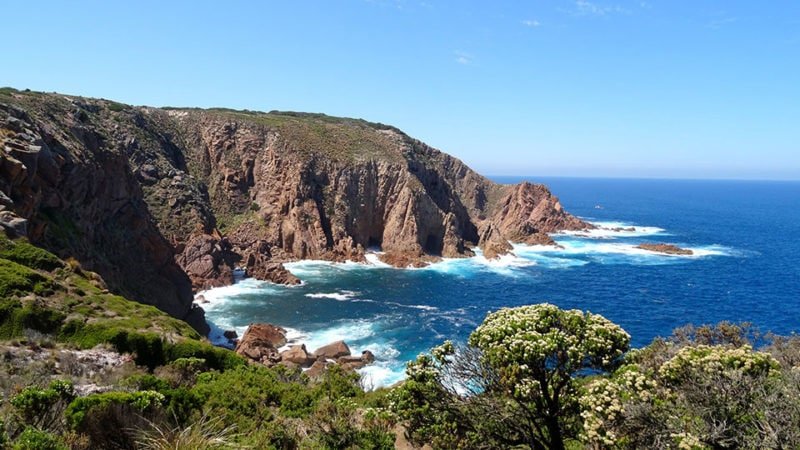 5 redenen waarom Phillip Island eigenlijk best leuk | Backpackcentrale