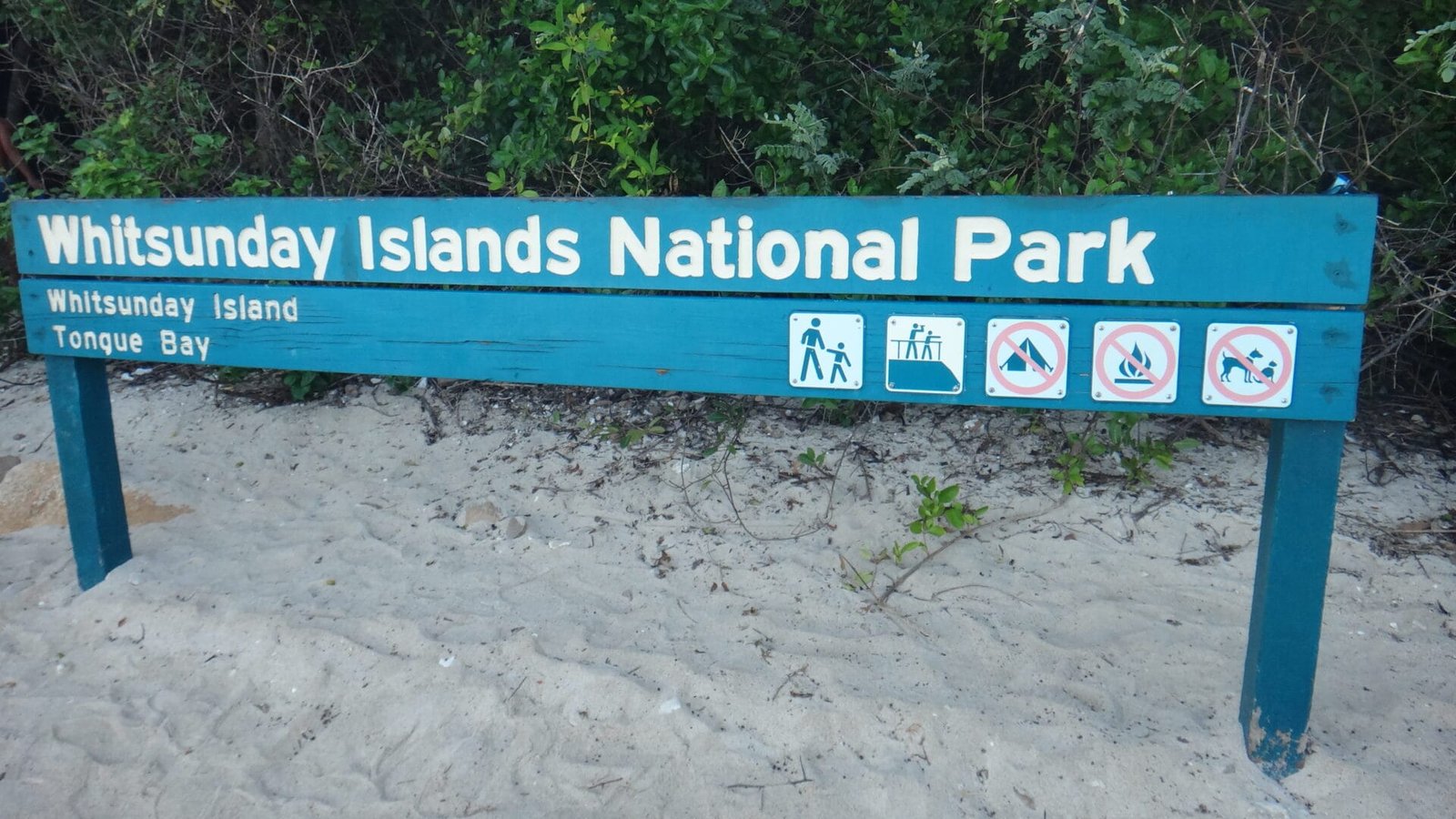 Whitsundays: Dit moet je weten over hét paradijs van Australië (+TIPS)