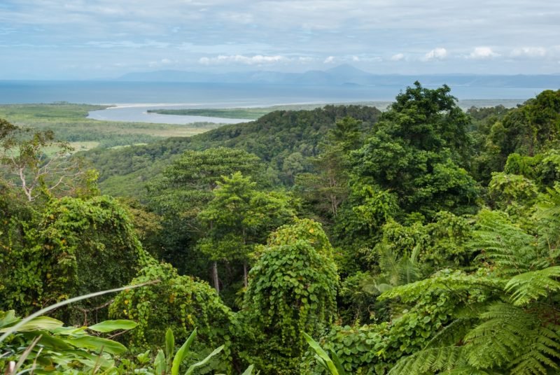 Dit zijn de 12 fijnste jungle & regenwoud bestemmingen