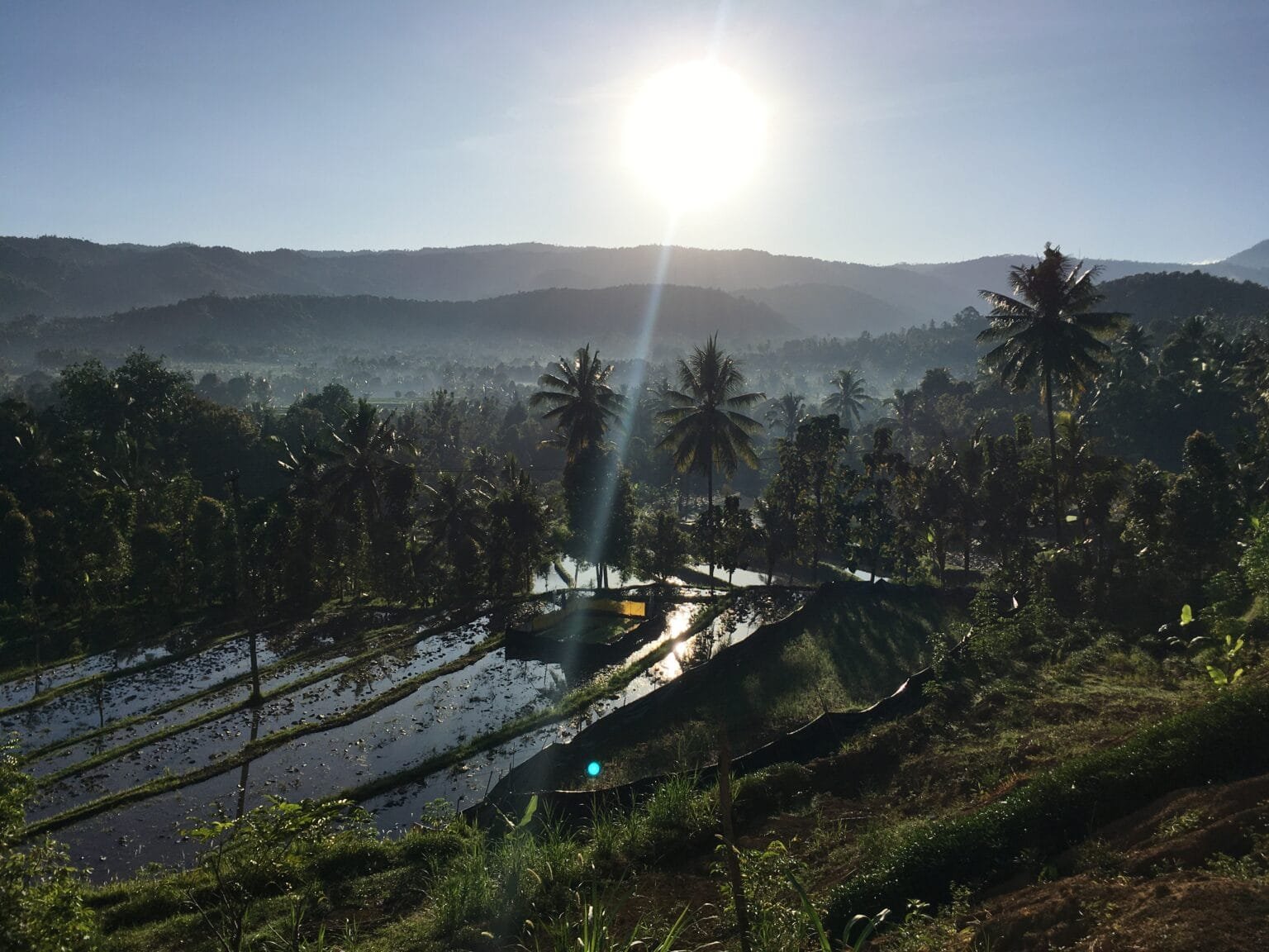 Visum voor Bali & Indonesië | Tips voor regelen & verlengen