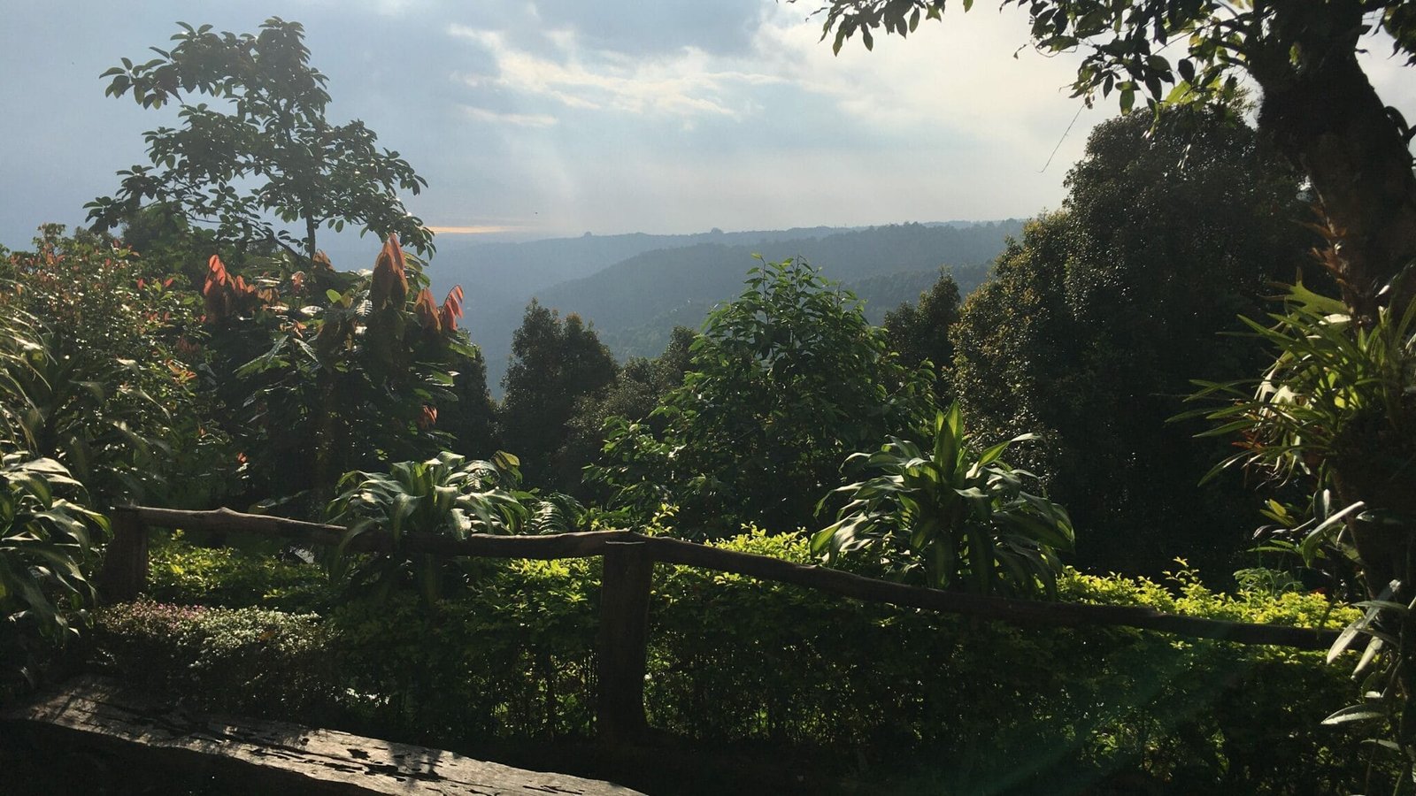 Banyu Wana Amertha Waterfall op Bali bezoeken? Dit moet je weten!