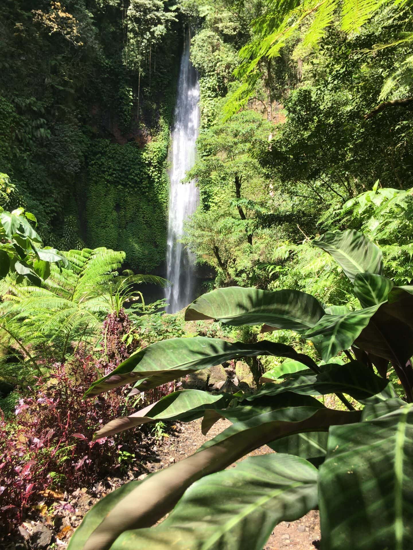 Wanagiri Pucak Manik watervallen op Bali: Alles wat je moet weten