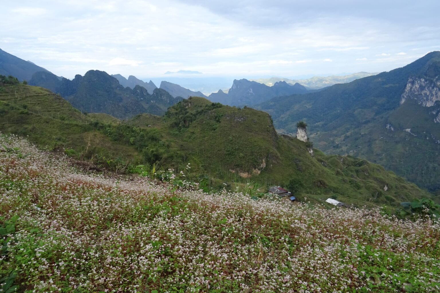 Ha Giang Loop, Vietnam | Dit moet je weten voor vertrek (+ route)