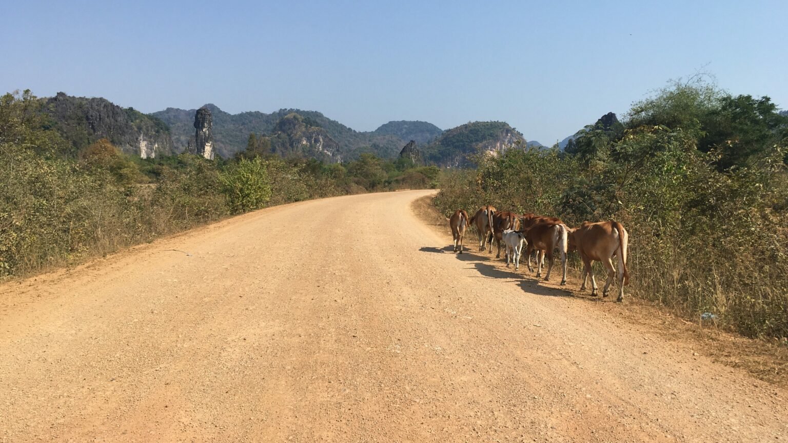 Thakhek Loop: Jouw gids voor Laos' beste roadtrip
