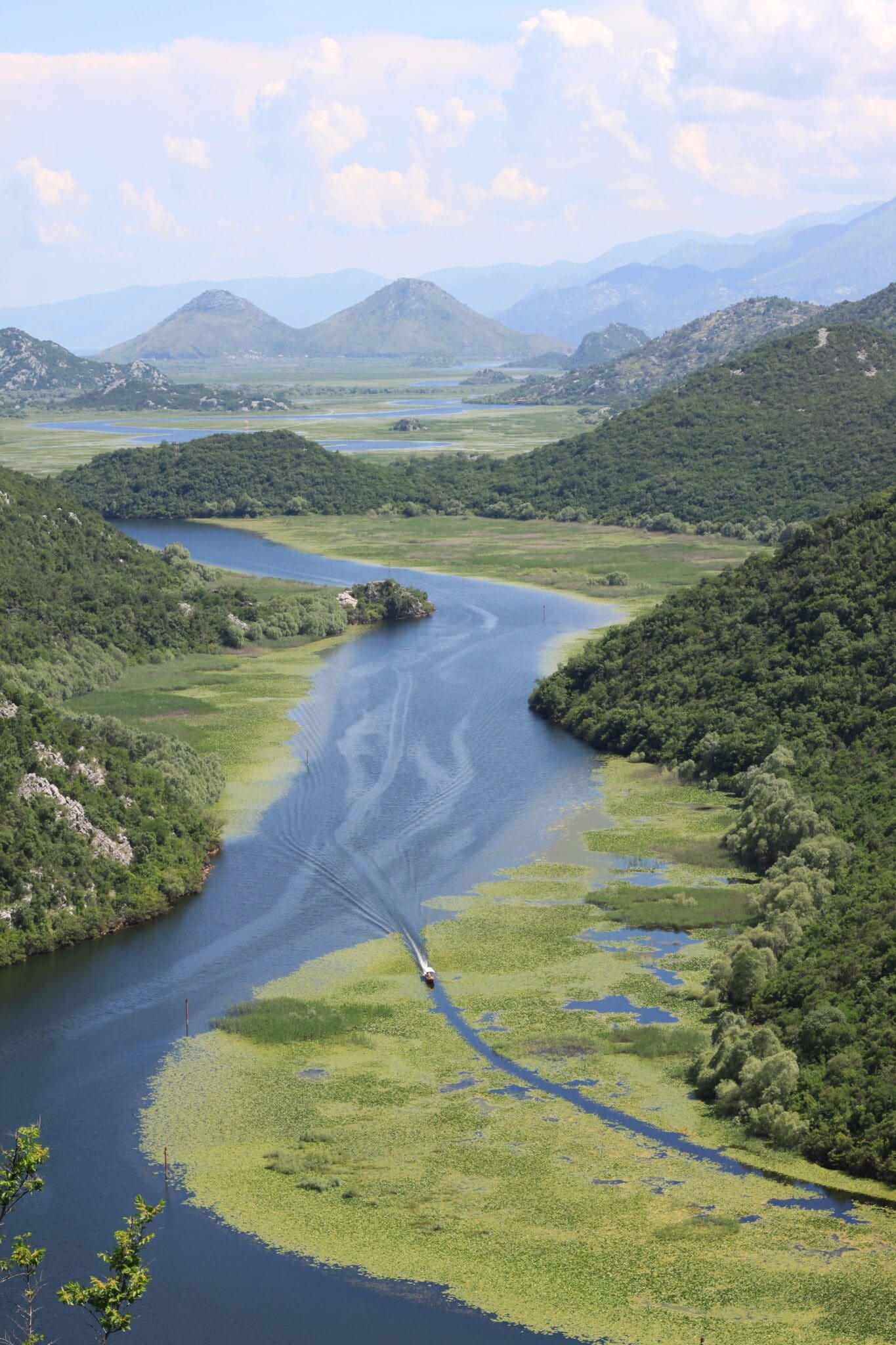 11 leuke dingen om te doen bij Lake Skadar, Montenegro (+Tips)