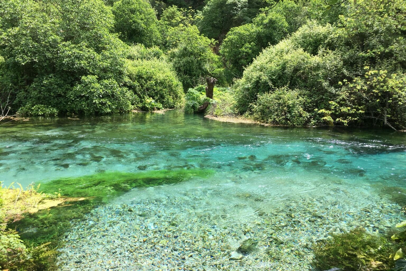 Bezoek de Blue Eye van Sarandë in Albanië (Syri i Kaltër)